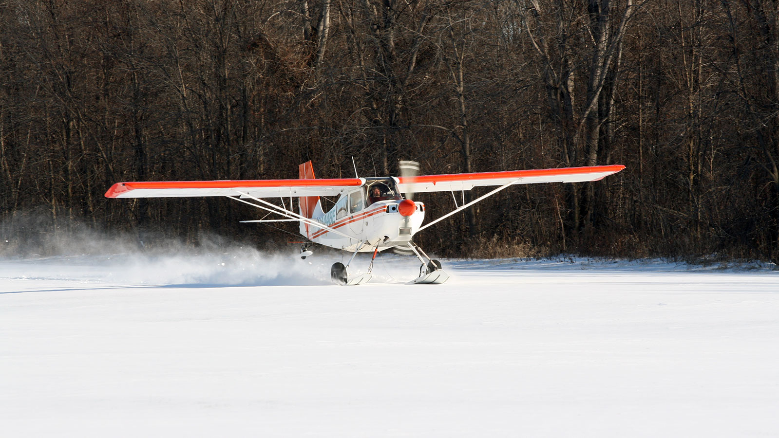 American Champion Scout 8GCBC Floats & Skis | Wipaire, Inc.